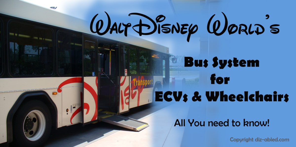 Using the Disney World Buses with a Wheelchair, Scooter, ECV