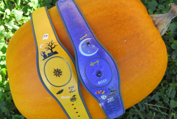 MagicBand & MagicBand+ at Disney World - What You Need to Know