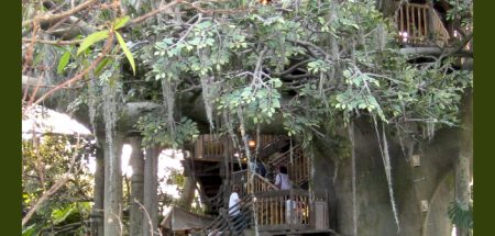 SWISS FAMILY TREEHOUSE – DISNEY WORLD – MAGIC KINGDOM - Walt Disney ...
