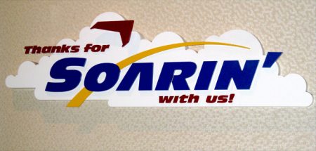 Soarin' Around the World - Epcot - Disney World