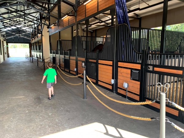 Disney's Fort Wilderness Resort (Cabins and Campsites) - Walt Disney ...