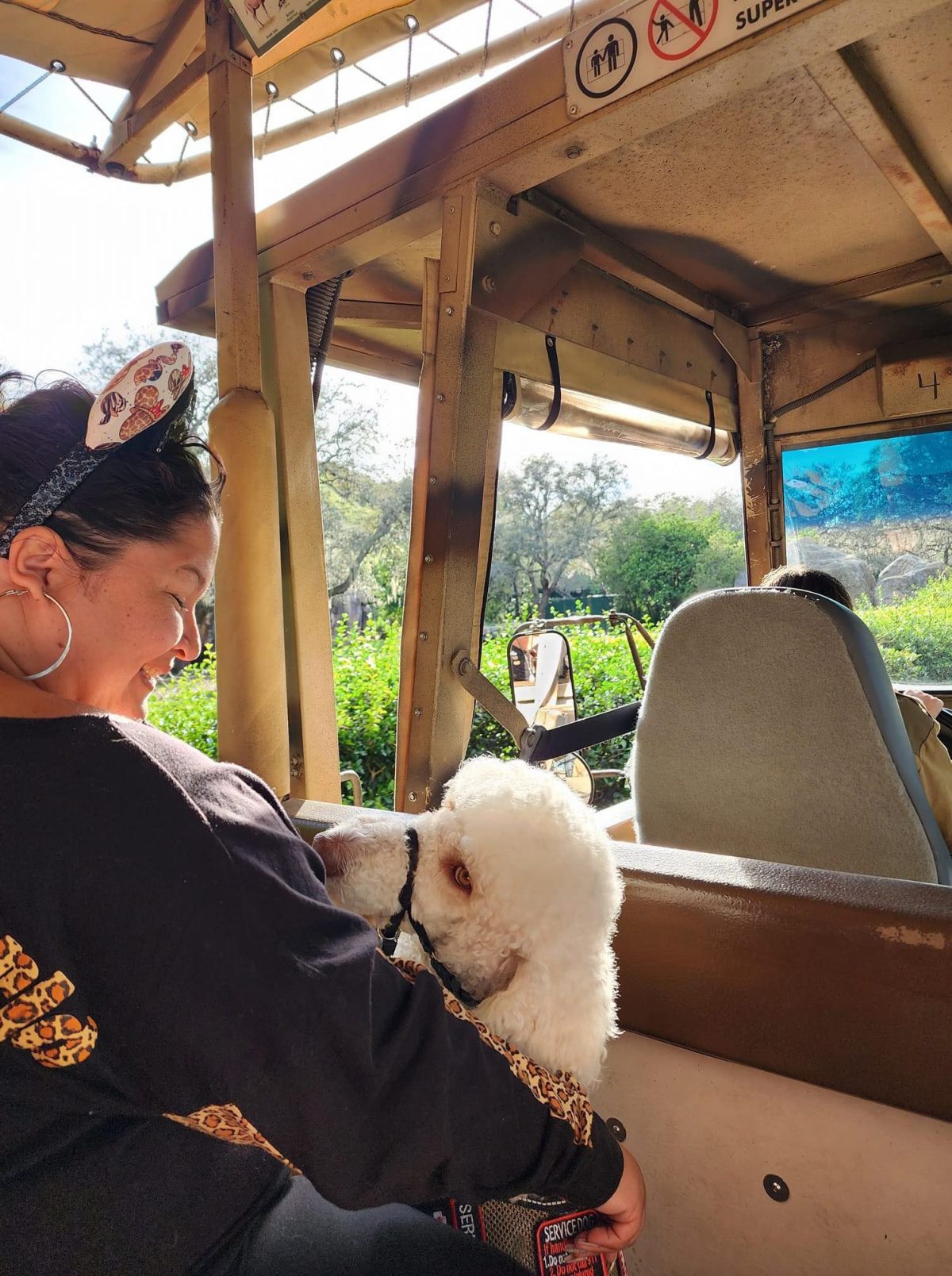 Service Dogs in the Disney World Parks - Walt Disney World Made Easy ...